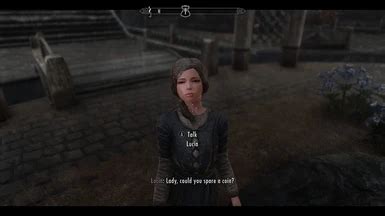 SynthEBD Config Files To Be Continuously Updated At Skyrim Special Edition Nexus Mods And