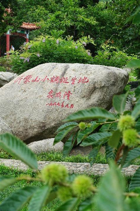 唱沂蒙小調感紅色之鄉傳紅嫂精神 每日頭條