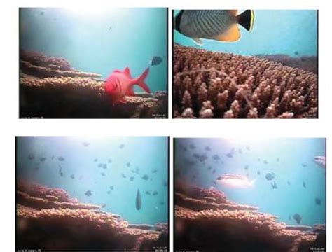 Figure 2 From Unsupervised Image Segmentation Model Based On W Net Architecture And Conditional