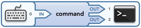 pipes forks and dups understanding command execution and input output data flow rozmichelle