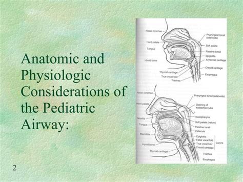 Pediatric Airway Emergencies Ppt