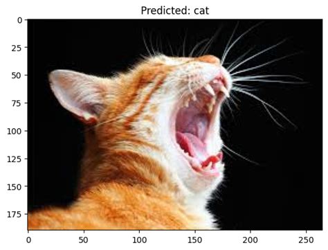 Feedforward Neural Networks Everything You Need To Know