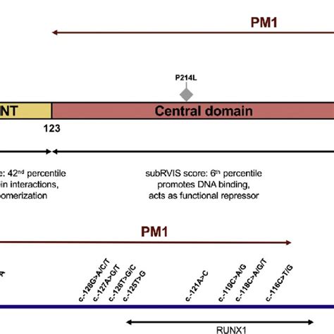 Application Of Pm1 To Functional Protein Domains And Mutational
