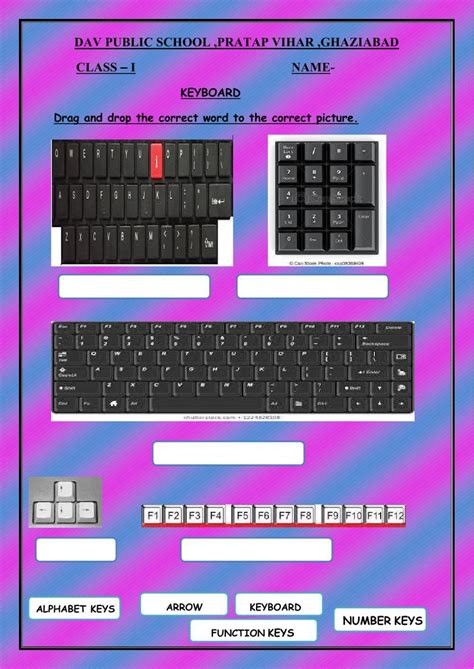 Worksheet On Computer Keyboard For Grade 1 At Jocelyn Taylor Blog