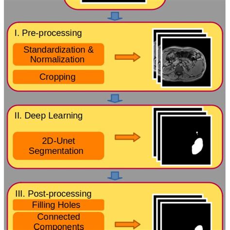 Schematic Illustration Of The Algorithmic Pipeline Applied To The