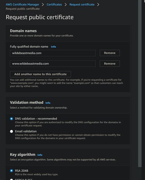 Custom Domain And Thomas Wilde Tech