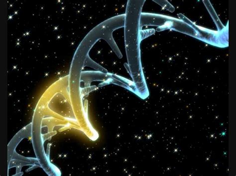 Adn Recombinante Y Enzimas De Restricción Biología