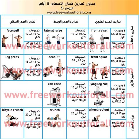 Best 3 Day Bodybuilding Workout Plan