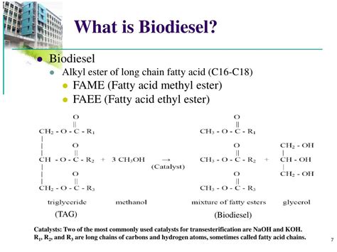 Ppt Recombinant Lipase Catalyzed Biodiesel Production Powerpoint Presentation Id779203