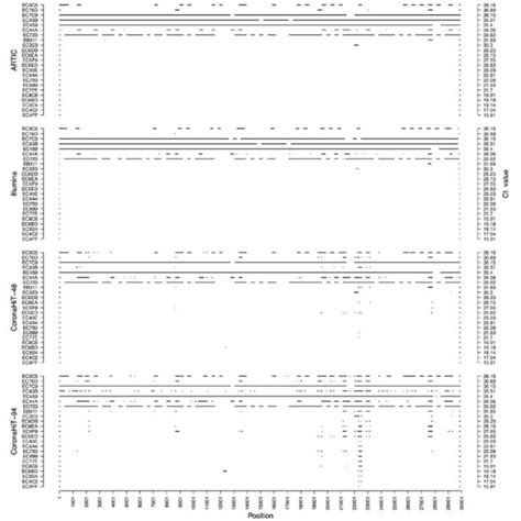 A Ct Value Of The 23 Sars Cov 2 Positive Rna Samples Sequenced Using Download Scientific Diagram