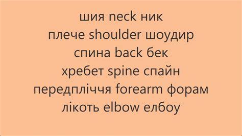 частини тіла на англійській мові Youtube