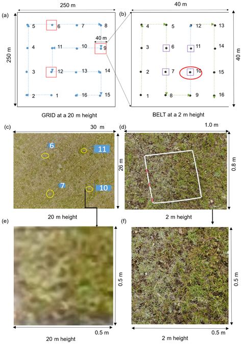 ESSD A M Annual Alpine Grassland AGB Dataset Over The QinghaiTibet Plateau In