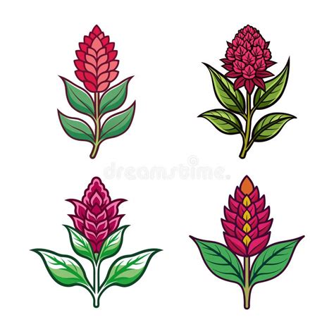 Amaranth Flower Bold Outline Design Stock Vector Illustration Of Horizontal Collection 361390191