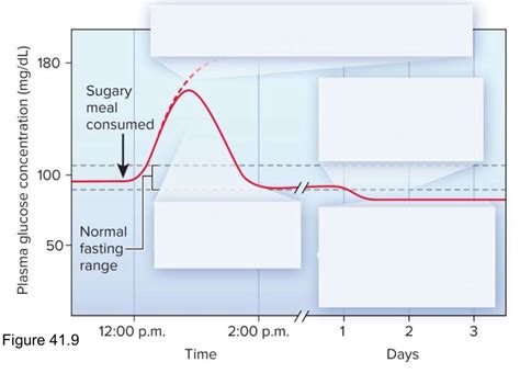 Biology 2602 Glucose Diagram Diagram Quizlet