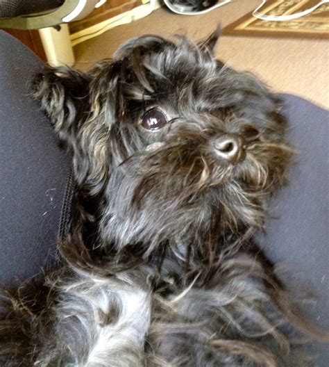 NiftyIdeas Isn T That Just Ducky