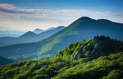 나무가 있는 푸른 산 거북선대교 건축물 교통수단 배경 일러스트 및 사진 무료 다운로드 Pngtree