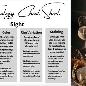 Wine Tasting Book For Beginners Etsy