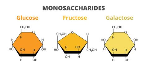 Monosaccharide Diagram