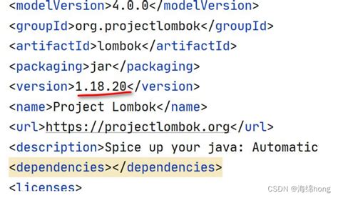 简化javabean开发 >lombokbean插件lombok Csdn博客 简化javabean开发 >lombokbean插件lombok Csdn博客