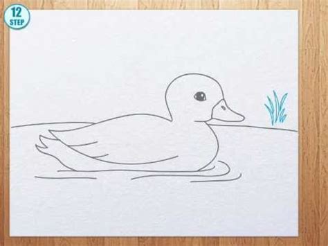 Duck Pond Drawing At PaintingValley Com Explore Collection Of Duck Pond Drawing