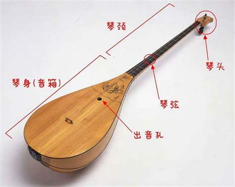 这些新疆常见的民族乐器，你能分清吗？热瓦普都塔尔冬不拉