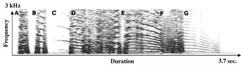 3 Spectrogram Of Pulse Bursts Recorded In An Aggressive Interaction