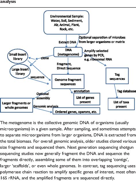 Figure 1 From Metagenomics And Its Connection To Microbial Community