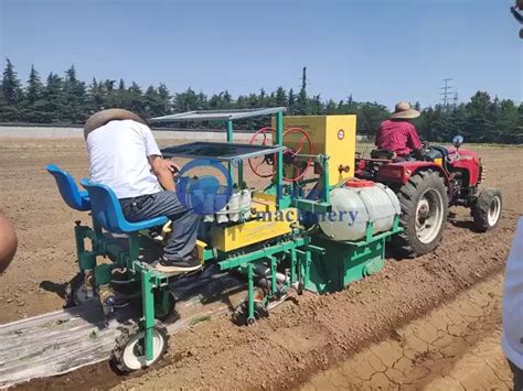 Pakistan Customer Inspected 2 Rows Seedling Transplanter