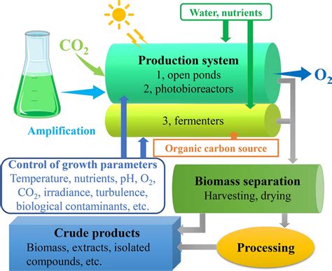 Schematic Diagram Of Microalgal Biomass Production Microalgae Are Download Scientific Diagram