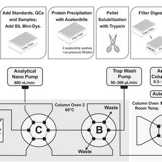 Immunoaffinity LC MS MS Workflow And LC Configuration A Tissue Download Scientific Diagram