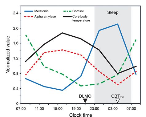 Figure 1 From The Circadian Stimulus Oscillator Model Improvements To
