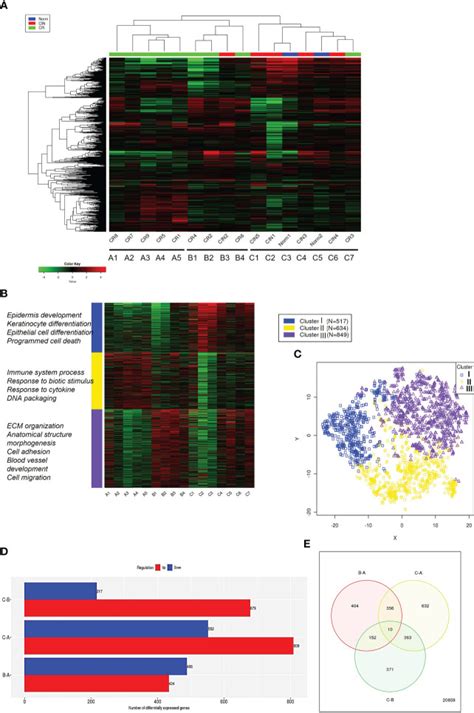 Sequencing Based Transcriptome Analysis Reveals Diversification Of