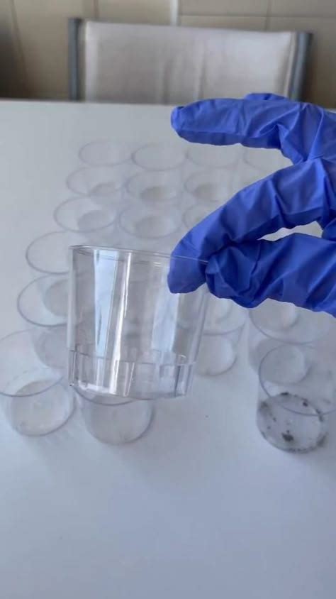 Pin By Precious On Backgrounds Spongebob Birthday Spongebob Birthday Party Spongebob