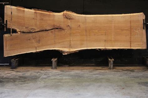 Siberian Elm Slabs Wood Vendors