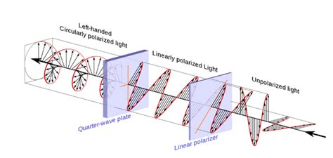 Polarization Of Light Definition Types Methods Applications