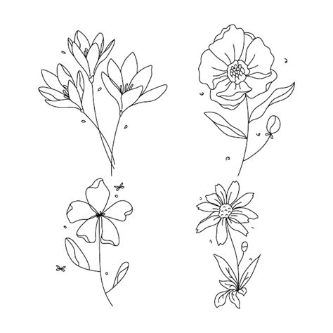 Flower Outline Png Images Free Download On Freepik