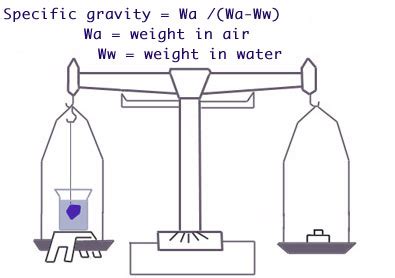 Specific Gravity