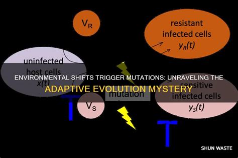 Environmental Shifts Trigger Mutations Unraveling The Adaptive