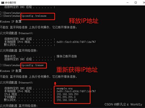 Dhcp的原理与配置 Csdn博客 Dhcp的原理与配置 Csdn博客