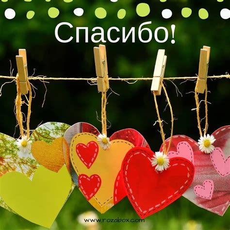 Спасибо жизнь за то что вновь приходит день Роберт Рождественский Скачать картинку Спасибо