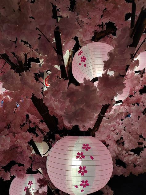 Mello X Reader Leiiilaaaa On Tumblr