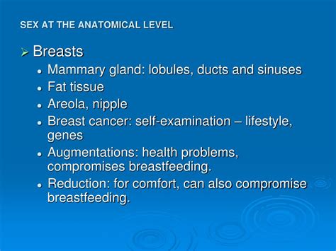PPT SEX AT THE ANATOMICAL LEVEL PowerPoint Presentation Free Download ID 330022