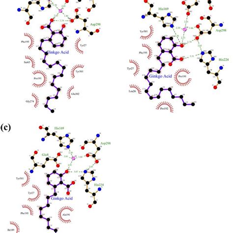 Enzyme Substrate Interaction In Binding Site Enzyme Substrate Of Sdc Download Scientific