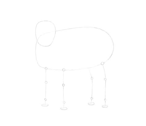 How To Draw A Sheep Envato Tuts How To Draw A Sheep Envato Tuts