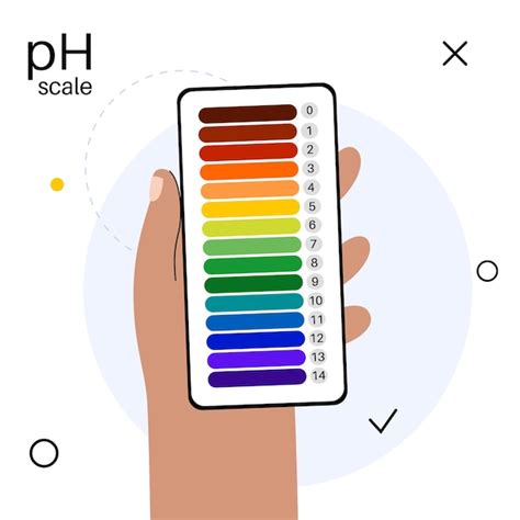 Premium Vector Ph Scale Diagram