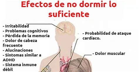 7 Terribles Efectos De No Dormir Lo Suficiente Delicias Blog