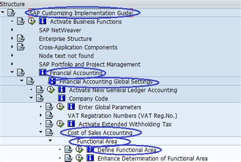 What Is Functional Area How To Define Functional Area In Sap Sap Images