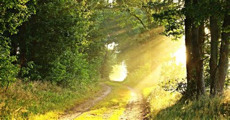 Début Du Mooc Sur Lintelligence Artificielle Et Les Ressources