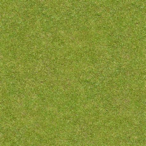 Flattened Grass Texture 0118