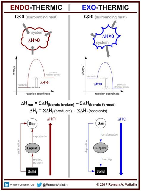 Exothermic Vs Endothermic Processes Diagram